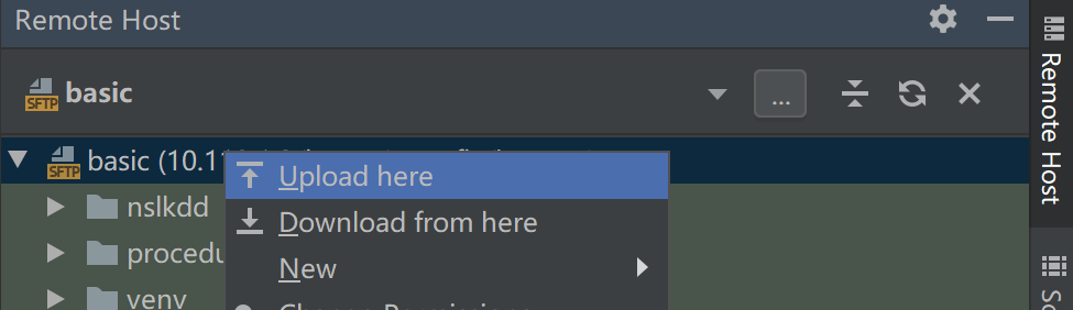 pycharm项目上传服务器并进行远程调试 | SNOWFLY